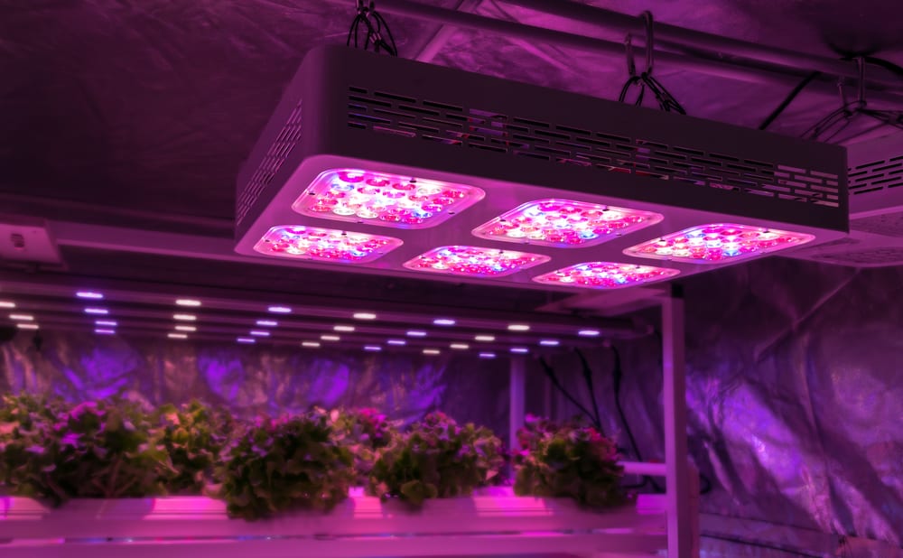 Marijuana Growing Lights - Best Lights For Growing Weed | Leafbuyer
