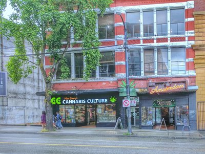 A Cannabis User's Guide to the Northwest: Vancouver, BC | Leafbuyer