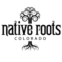 Visit These Medical Dispensaries in Colorado Springs | Leafbuyer