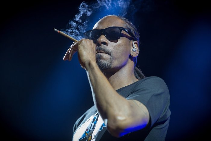 Top Celebrity Stoners of All Time | Leafbuyer