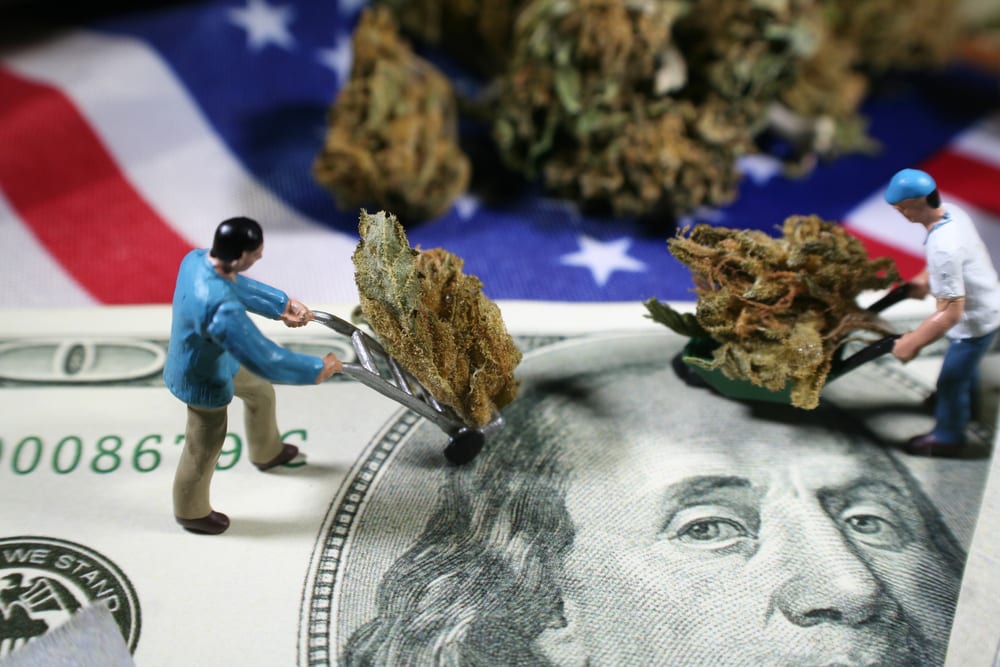 The US Government s Crazy Street Terms For Cannabis Leafbuyer the-us-government-s-crazy-street-terms-for-cannabis-leafbuyer