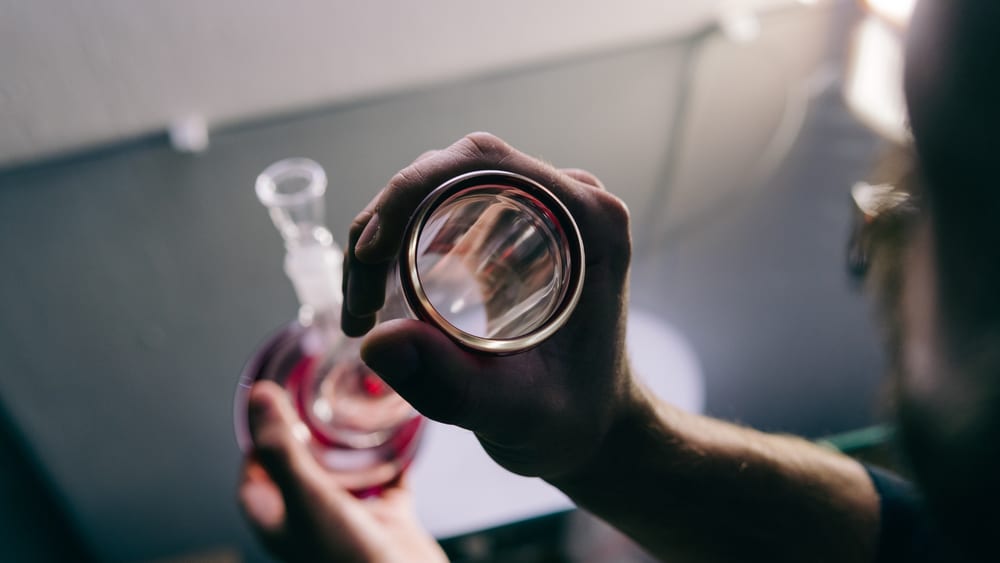 5 Bongs Made for the Average Consumer | Leafbuyer