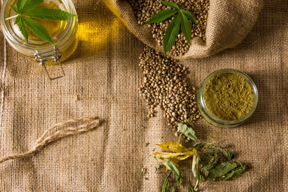 Hemp Clothing: What's So Great About Hemp? | Leafbuyer