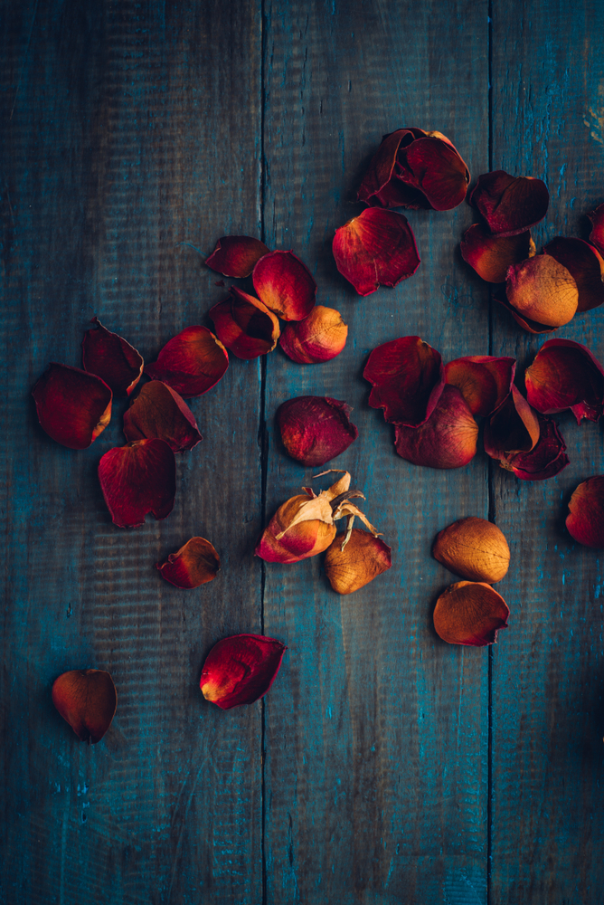 How to Roll a Rose Blunt: Steps and Video | Leafbuyer