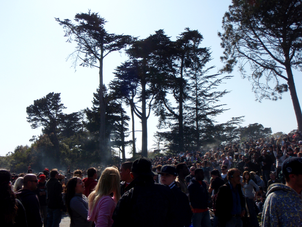 Everything You Need to Know about San Francisco's Hipp | Leafbuyer