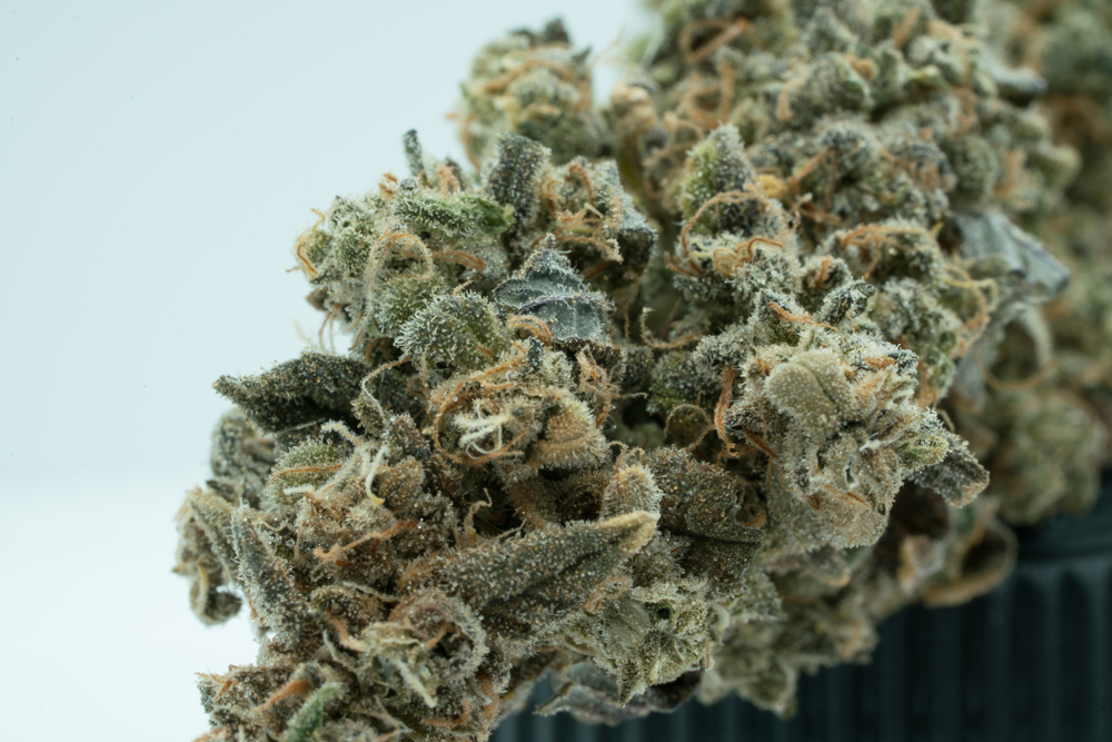 7 Of The Most Unappealing Marijuana Strain Names Leafbuyer 7-of-the-most-unappealing-marijuana-strain-names-leafbuyer