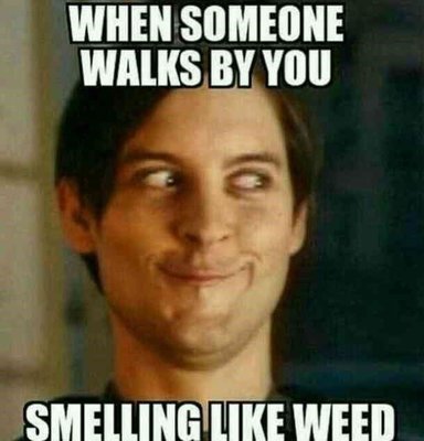 Weed Memes To Get You Through the Week | Leafbuyer