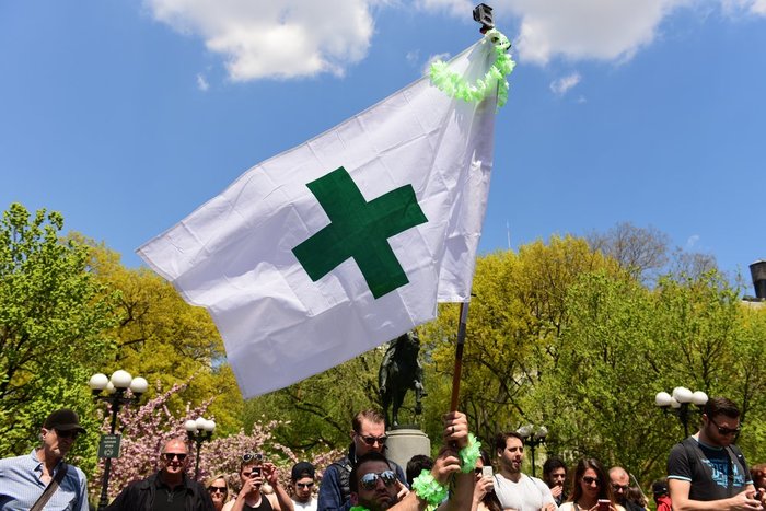 Unique Cannabis Culture Facts for 2019 | Leafbuyer