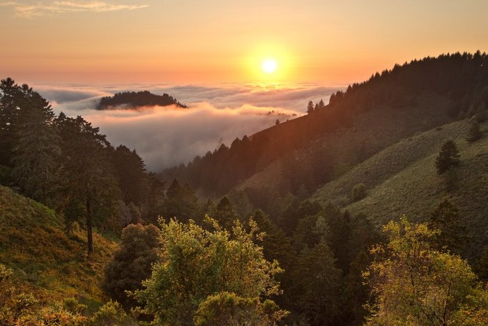 The Best Northern California Nature Spots for Stoners | Leafbuyer