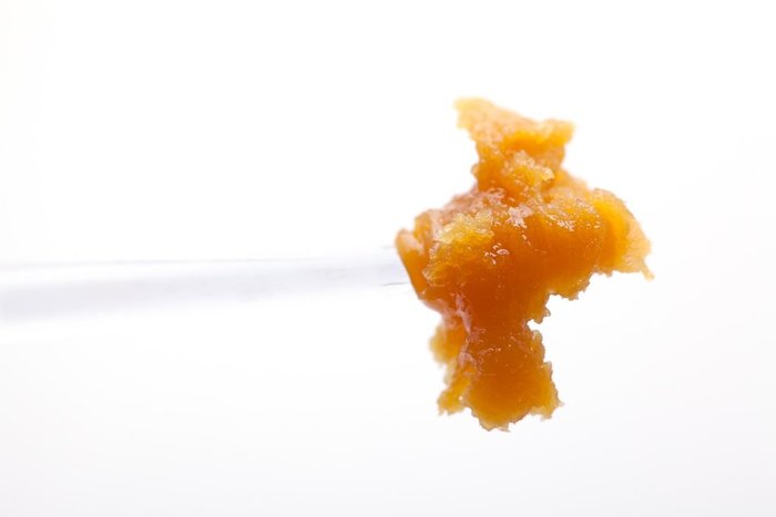 Consumer Education: The Difference Between BHO Shatter and | Leafbuyer