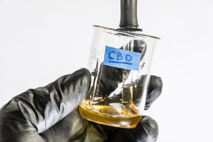 Curious About CBD Concentrate? Here's Your Complete Gu | Leafbuyer